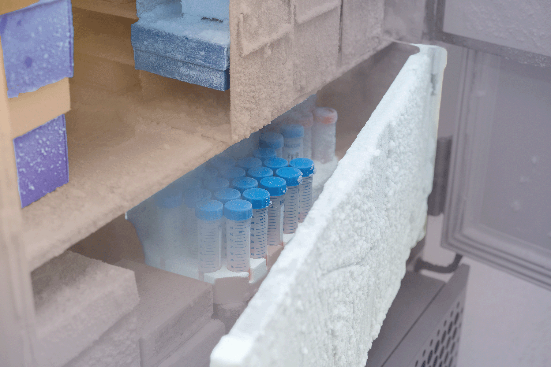 Do We Need A CO2 Backup Power System?