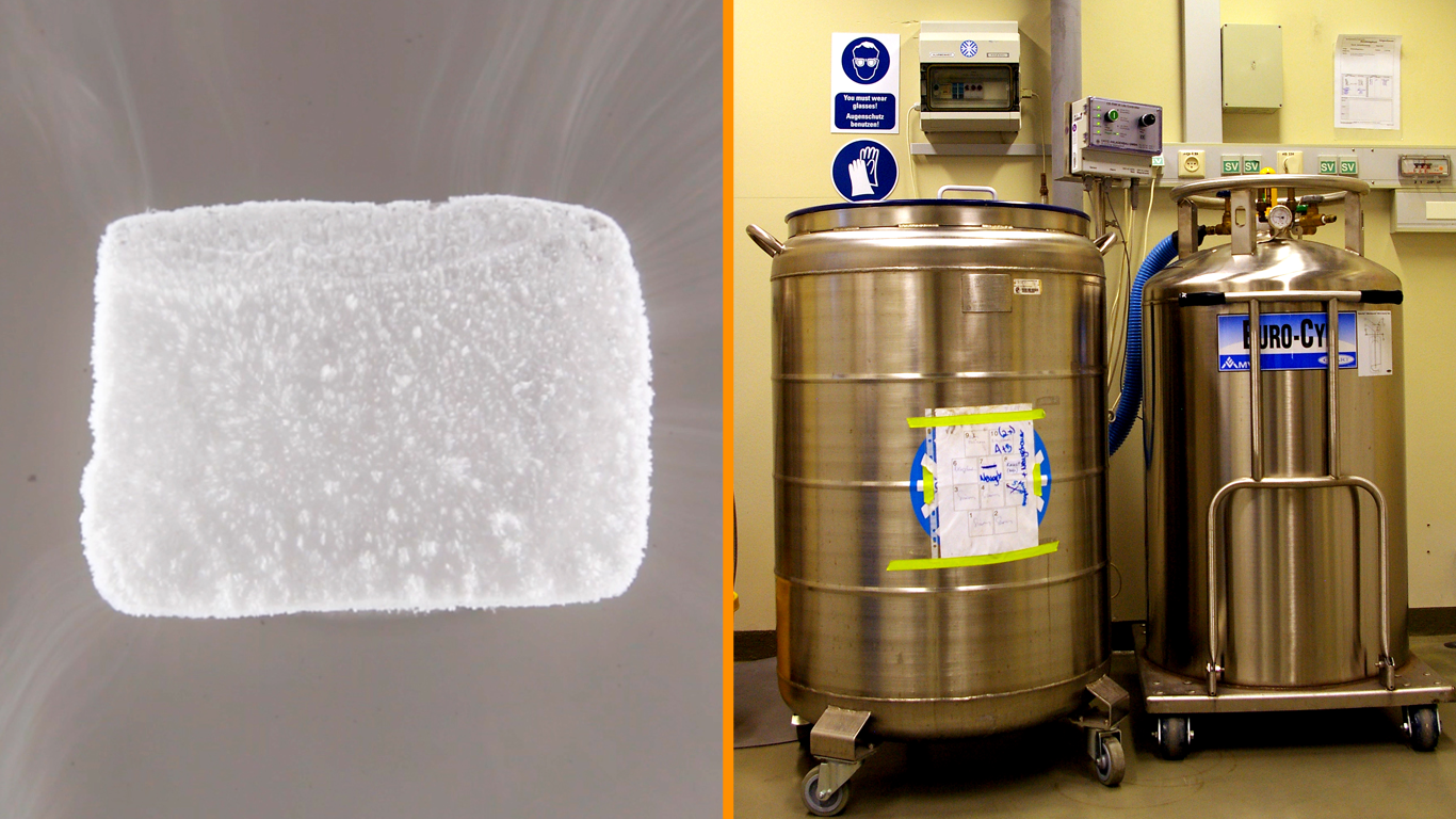 Liquid Nitrogen Tank Cell Storage